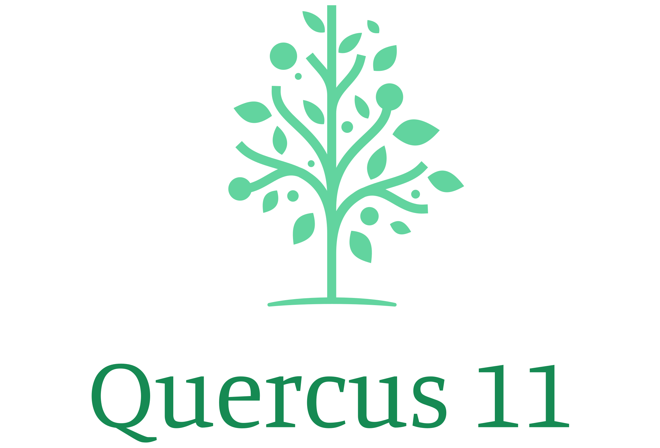 About us – Quercus 11